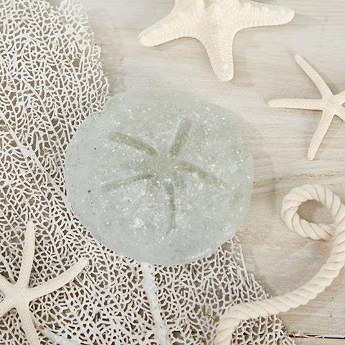Sand Dollar Paperweight – Splash on Main